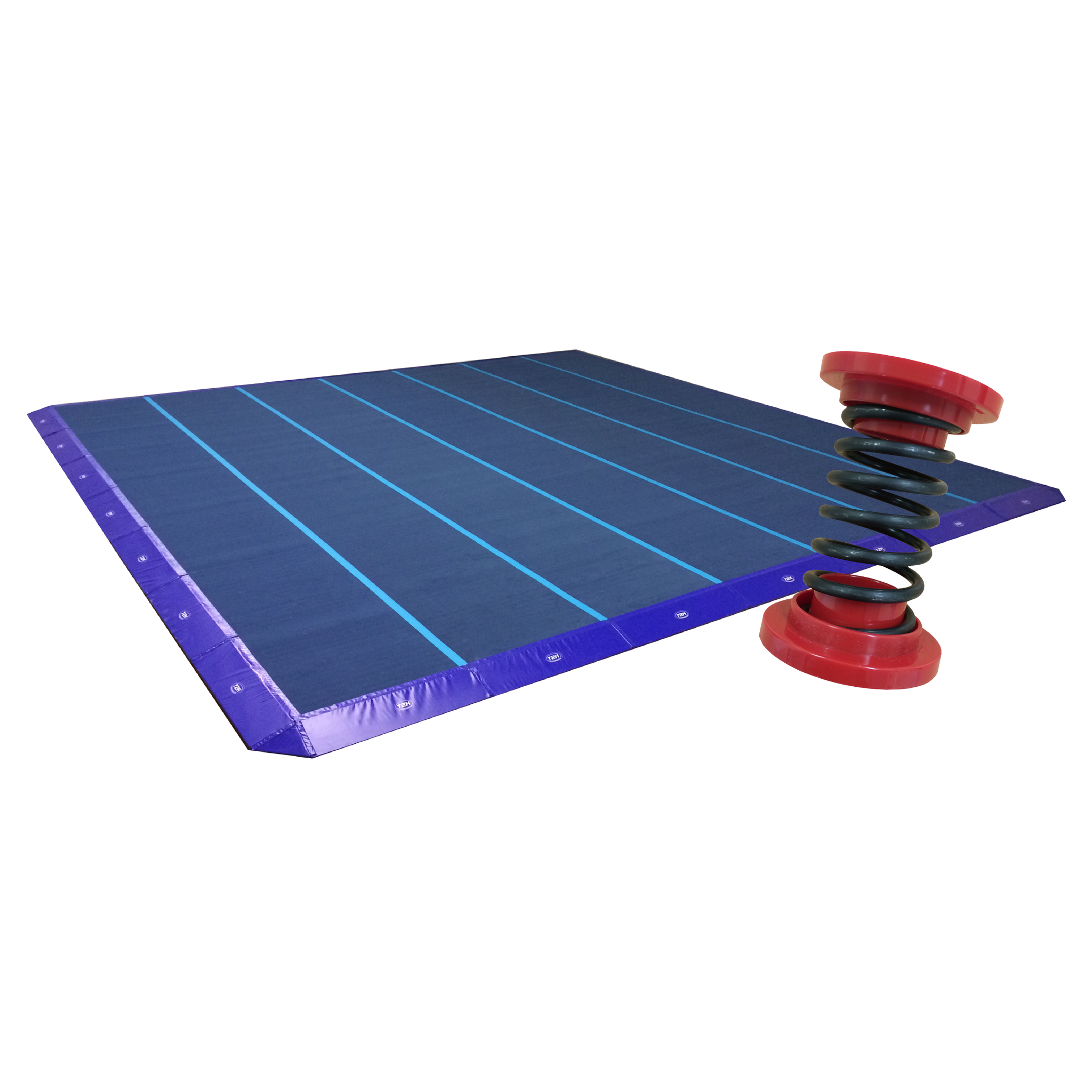 Gymnastics Sprung Floor – Tracks 2000 (International) Ltd